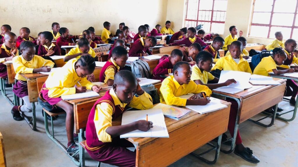 Project Site-Hundzukani Primary School - Wild Impact