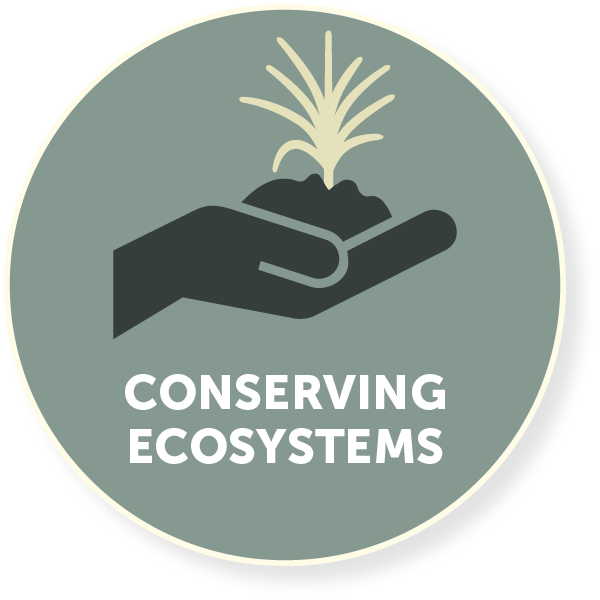 Wild Impact | Nurturing Resilient Communities & Conserving Wild Places