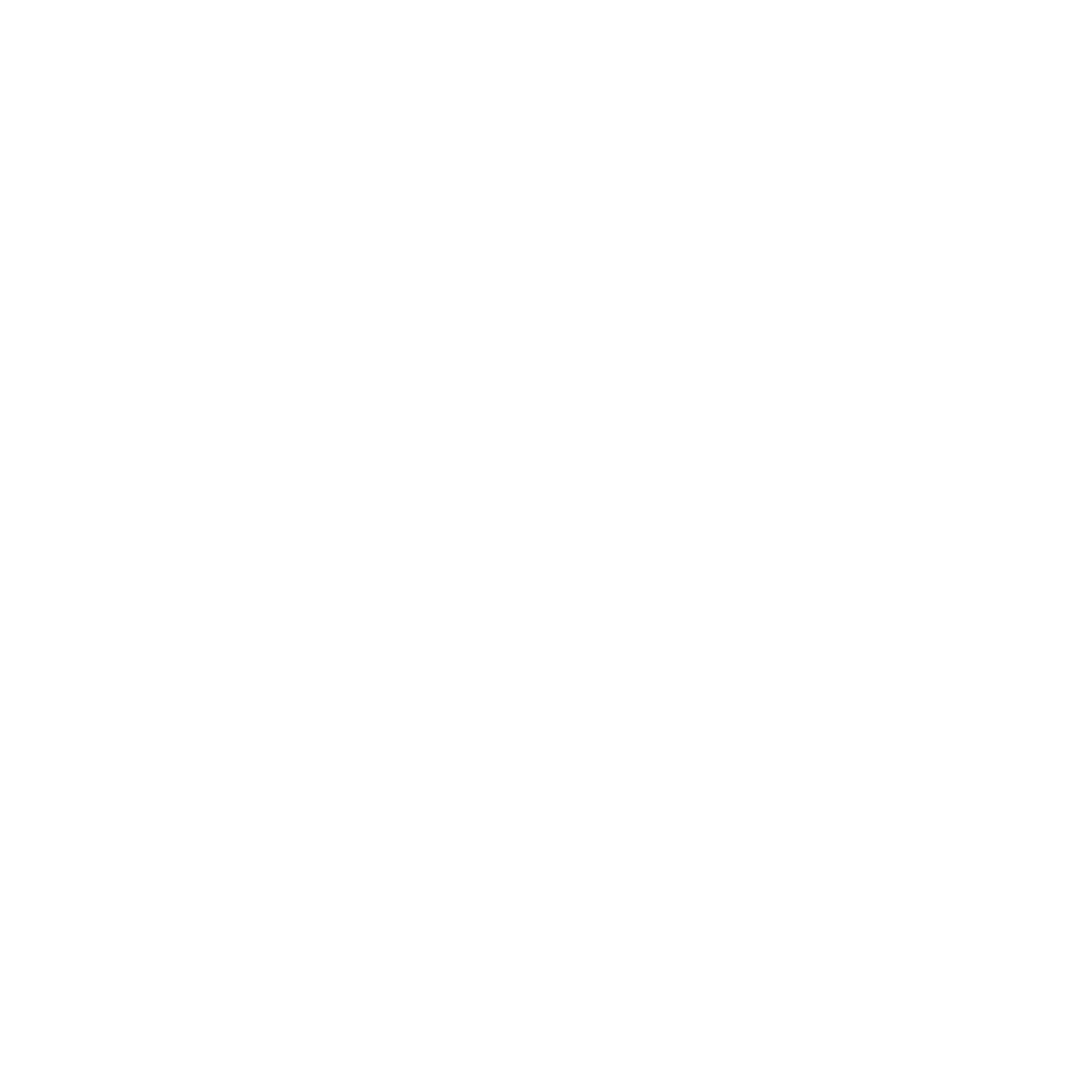 Future Foundations | Wild Impact