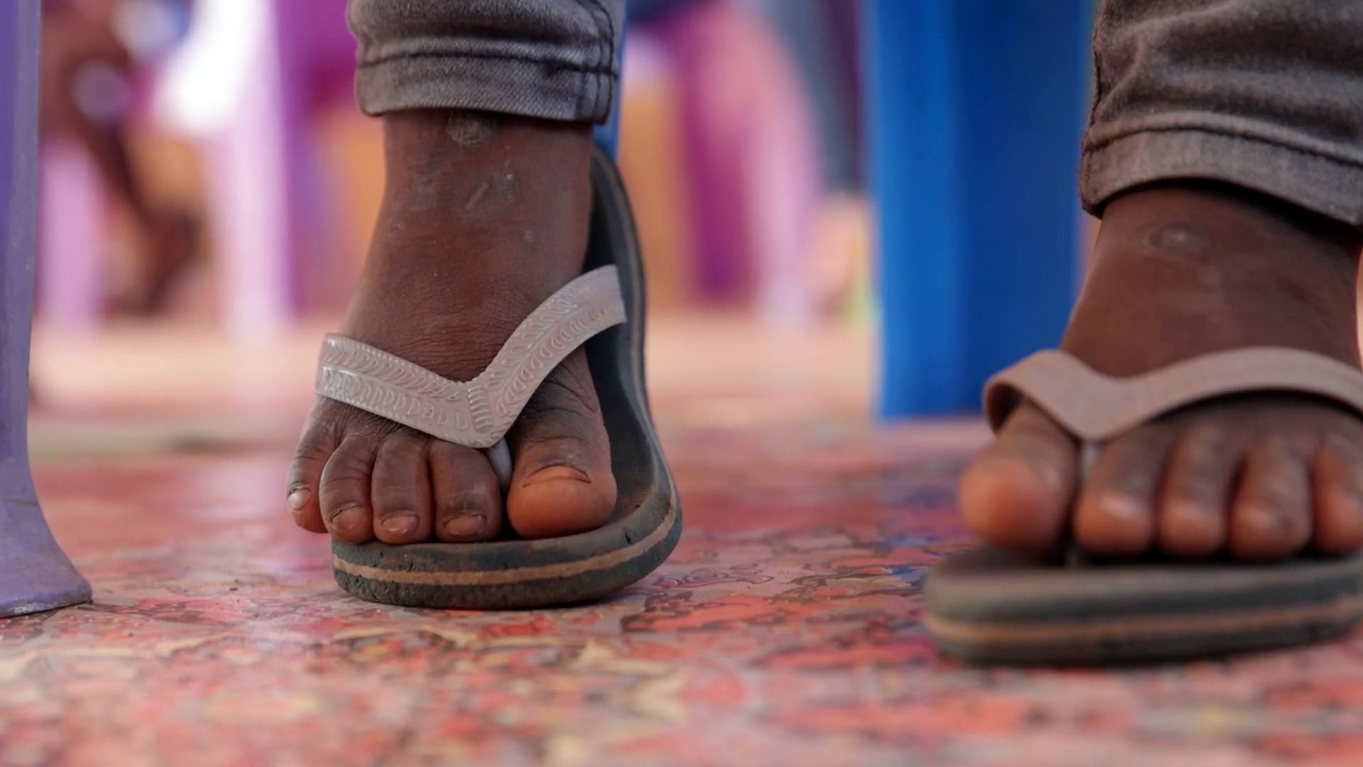 Donate | Wild Impact